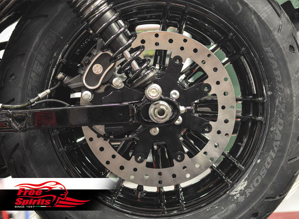 Harley Davidson Sportster 2014 up – Rear brake rotors kit (300 mm ...