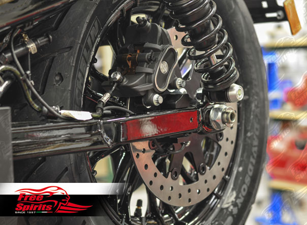 Harley Davidson Sportster 2014 up – Rear brake rotors kit (300 mm ...